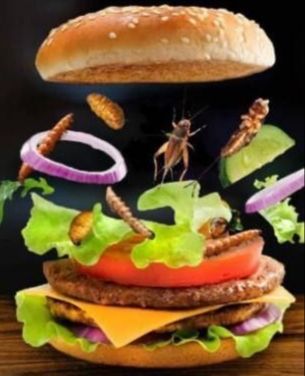 hamburger (hmburg) – rug.ninja